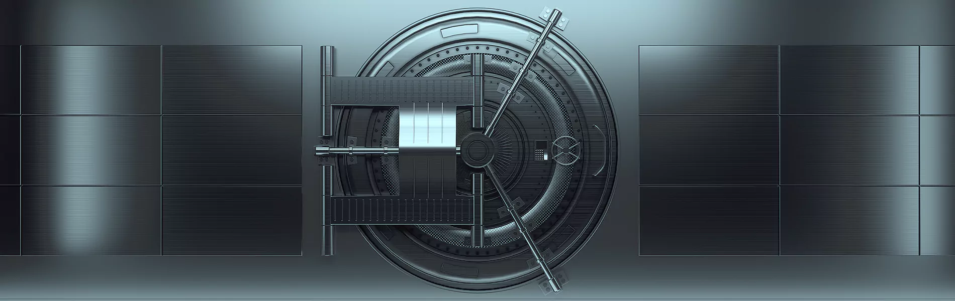 Vault Installation Sumas Mountain - Safe Vault Installation